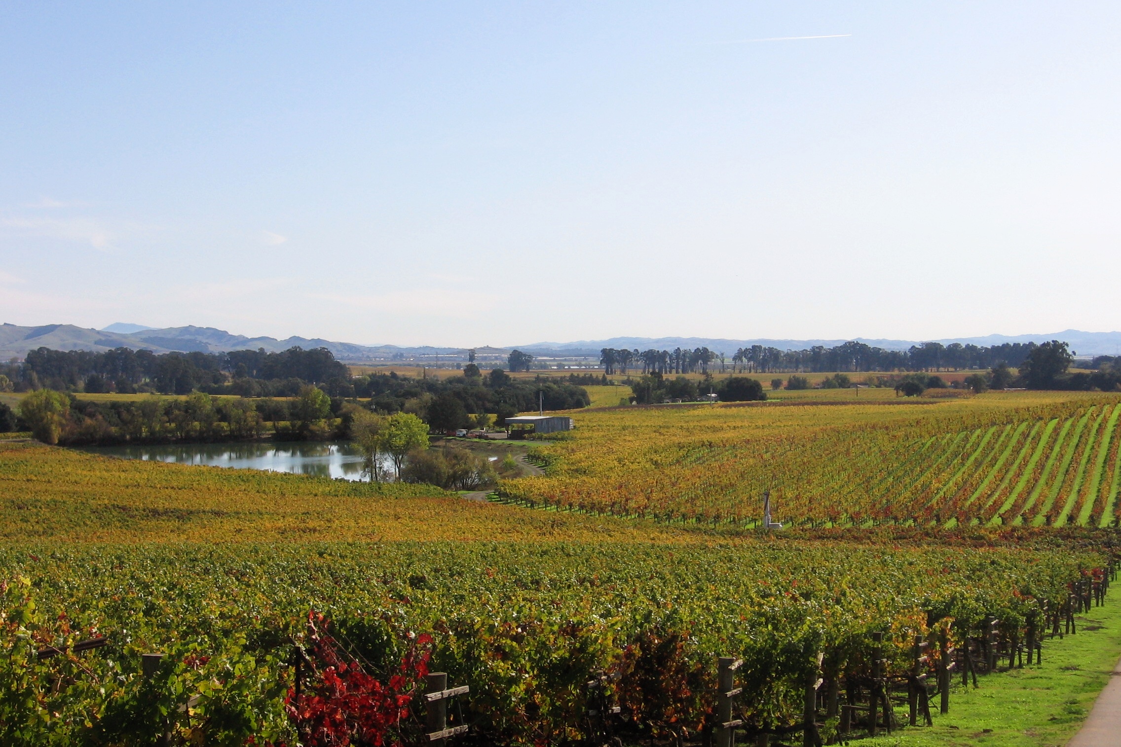 Patz & Hall – EGGERSSOHN